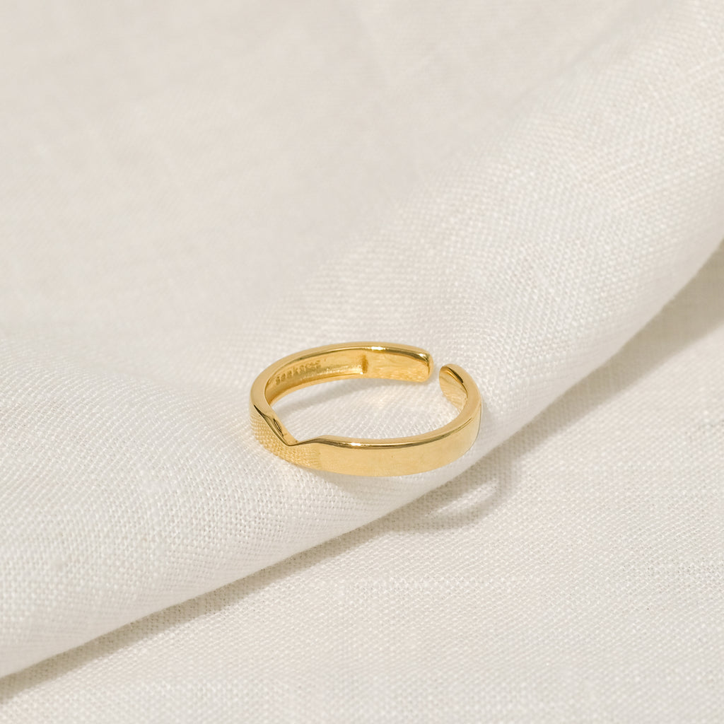 Seek Shine Nada For Him Gold Ring (18K Gold Vermeil)